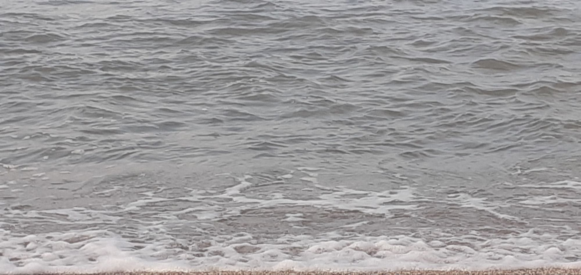 How COD Became the Language of Water Pollution… – The Science Dialouge